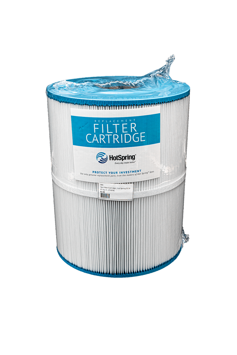 Spa Filter Cartridge, Hot Spring OEM 65 Sq. Ft. (71827 / 71828) – Ideal ...