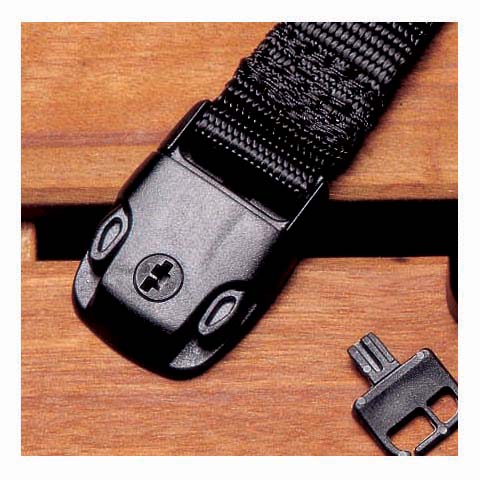 Generic Spa Cover Lock Set w/Key, 4 Pack – Ideal Pool & Spa